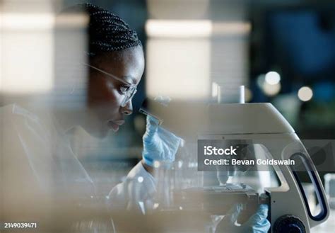 줄기 세포 연구의 의료 혁신 및 개발을 위한 실험실의 과학자 현미경 및 분석 흑인 여성 Dna에 대한 생명 공학 박테리아 검사 또는 테스트에 대한 조사 및 실험 실험실에