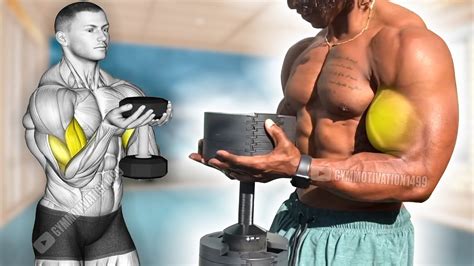 6 Exercises To Get Big Biceps Fastest YouTube