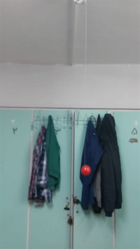 Custom Workflow Object Detection Object Detection Dataset By Redball