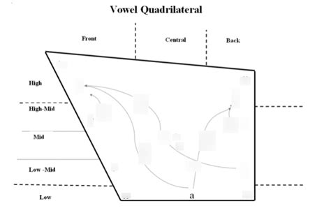 CSD 356 Midterm Diagram Quizlet