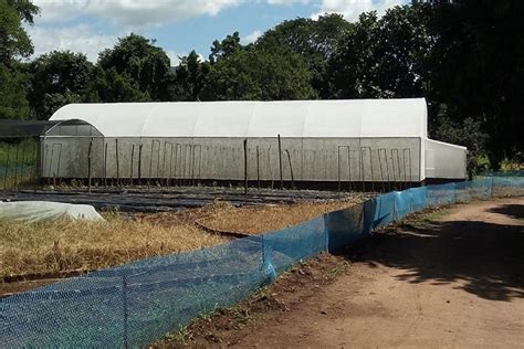 Horticulture Unit Department Of Crop Science And Horticulture Sokoine University Of Agriculture