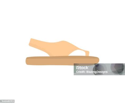 흰색 바탕에 세련 된 갈색 여성용 가죽 샌들 여성 신발 평면 사진입니다 만화 세련 된 계절 여름 샌들 벡터 디자인과 그림 0명에 대한 스톡 벡터 아트 및 기타 이미지