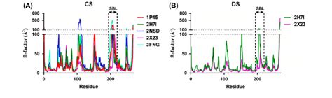Comparison Of B Factor In Cs And Ds Complexes Download Scientific Diagram