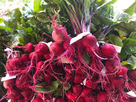Organic Produce Grown At Blue Sky Blue Sky Farms