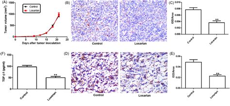 Figure 1 From Modulating The Tumor Microenvironment Improves Antitumor Effect Of Anti Pd L1 Mab