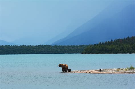 9 Best Places To Visit In Alaska Every Steph