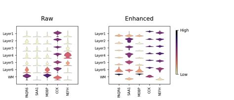 Tutorial 1 10x Visium Dlpfc Dataset — S3rl 100 Documentation