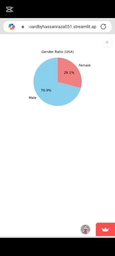 Create App And Dashboard Using Python By Hassanraza051 Fiverr