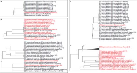 Selected Clades From The UPGMA Phylogeny Of Exact Sequence Variants
