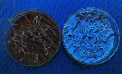 Fluorescent Nano Fertilizers Nano Fertilizer