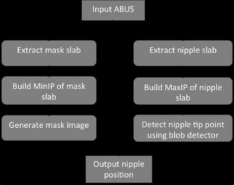 1 A Schematic Overview Of The Detection Workflow Download Scientific Diagram