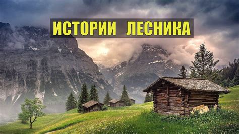 ИСТОРИИ из ЖИЗНИ ЛЕСНИКА НА НОЧЬ СУДЬБА ЖИЗНЬ МЕДВЕДИ ВОЛКИ в ЛЕСУ СЕРИАЛ ВСЕ СЕРИИ Youtube