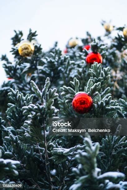 눈 아래 자연 크리스마스 트리에 공 장식 새해 컨셉 겨울 방학 겨울에 대한 스톡 사진 및 기타 이미지 겨울 축하 크리스마스 Istock