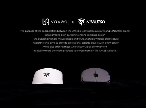 Vaxee X Ninjutso Sora 4k