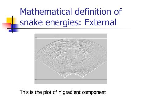 Ppt Segmentation Using Active Contour Model And Tomlab Powerpoint Presentation Id 5805650