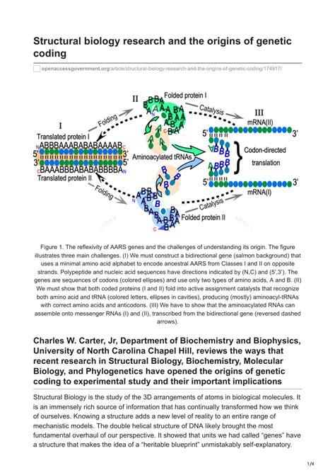 Pdf Structural Biology Research And The Origins Of Genetic Coding