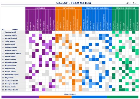 Gallup Team Matrix Solid Excel Gallup Team Matrix Solid Excel