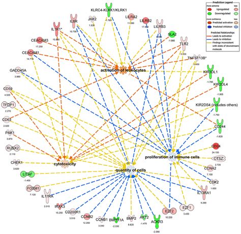 Ingenuity Pathway Analysis Ipa Downstream Effects Analysis Based Download Scientific Diagram