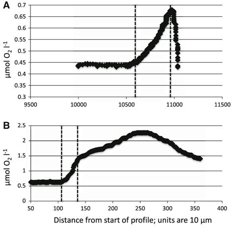 Examples Of Oxygen Profiles Of The Diffusive Boundary Layer Dbl