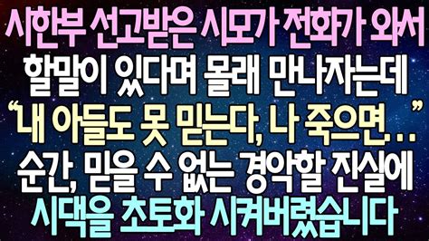 반전 사연 시한부 선고받은 시모가 전화가 와서 할말이 있다며 몰래 만나자는데 내 아들도 못 믿는다 나 죽으면” 믿을 수 없는 경악할 진실에 시댁을 초토화 시켜
