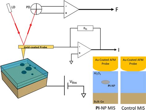 A The Circuit Of Surface Mapping And Electrical Probing Of A Single Download Scientific
