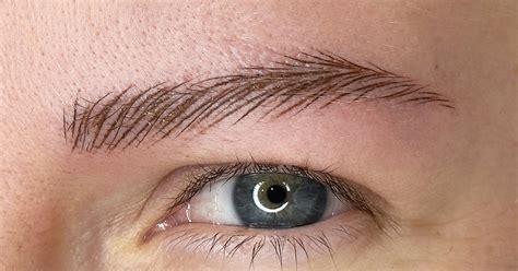 Fusion Brows Course Natural Looking Brows Phi Academy