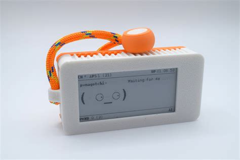 Pwnagotchi Pwnagotchi