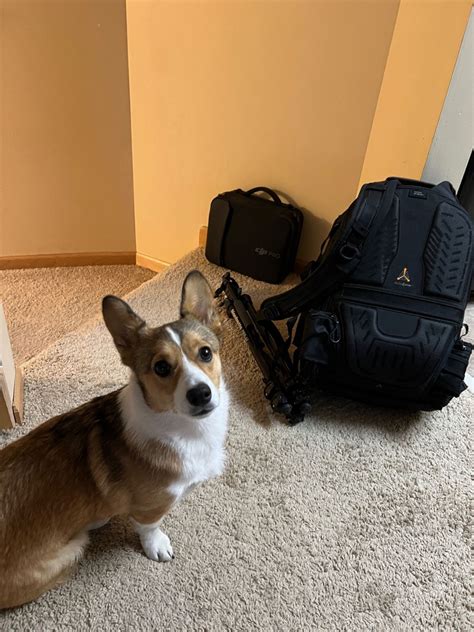 Dupont Productions On Linkedin Excited To Share New Projects Coming Soon 👀 Dupont Productions On Linkedin Excited To Share New Projects Coming Soon 👀