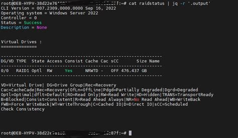 Help Needed Transferring Raid Status From Windows Server To Hyper V Microsoft Qanda