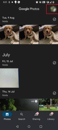 Top Practices To Backup And Sync Google Photos