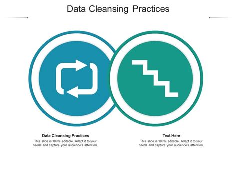 Data Cleansing Practices Ppt Powerpoint Presentation Ideas Format Ideas Cpb Presentation