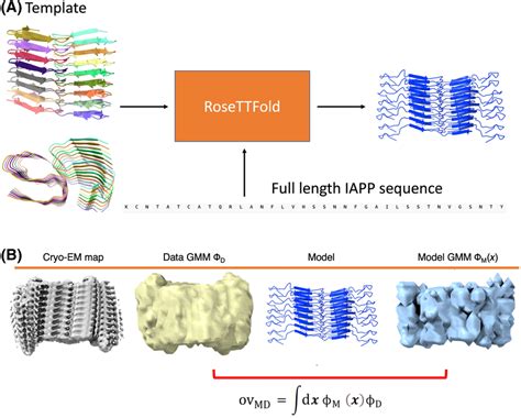Schematic Representation Of A Preparation Protocol Of The Initial Download Scientific Diagram