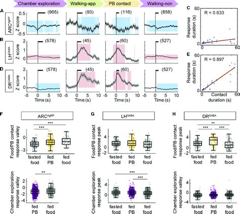 Calcium Response Patterns Of Arc Agrp Lh Gaba And Dr Gaba Neurons