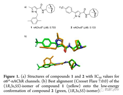 解析武田开发烟碱型乙酰胆碱受体nachrα6拮抗剂cvn417发现和优化 知乎
