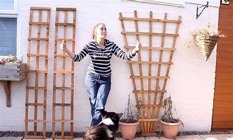 How To Attach Trellis To Brick Wall Without Drilling