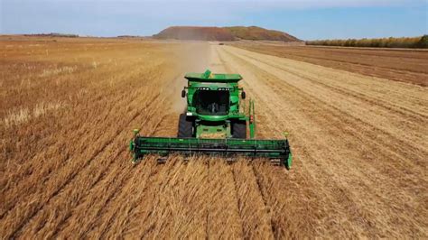 Chinese Soybean Farmers Reaping Bumper Harvests Cgtn