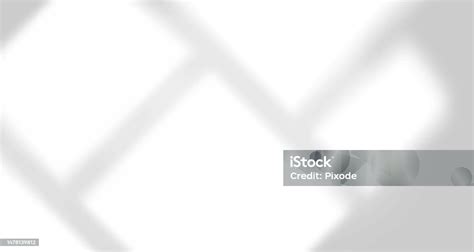 사실적인 흐릿한 자연광 나뭇잎 손바닥 및 창 그림자 오버레이가 벽 종이 또는 프레임 질감 추상 배경 여름 봄 가을에 제품 프레젠테이션 연단 및 모형 계절에 적용됩니다 0명에