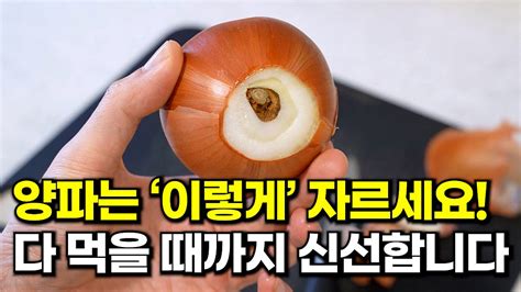 양파는 이렇게 잘라 보관하세요 깐양파도 1달 이상 신선함이 그대로 보관됩니다 네이버 Tv