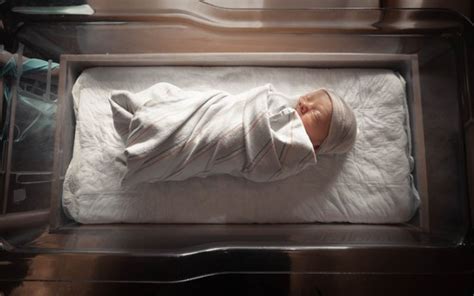 Genes podem influenciar idades de primeira relação sexual e primeiro filho Revista Galileu