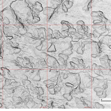 5 Shaded Srtm Elevations Showing Amphitheatre Valleys Along The Download Scientific Diagram