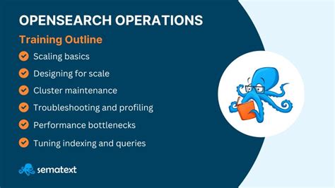 Sematext Group Inc On Linkedin Elevate Your Opensearch Skills With