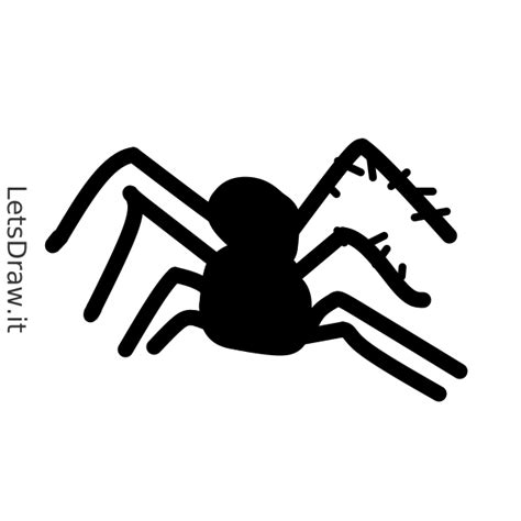 How To Draw Tarantula Fsi9j6m44 Png LetsDrawIt