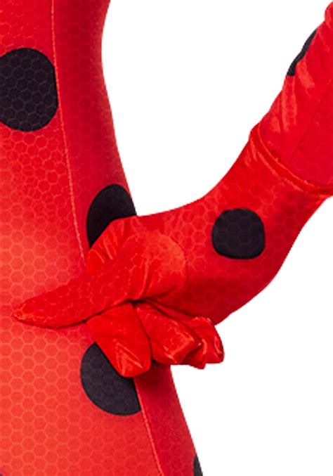Miraculous Ladybug Womens Costume Tv Show Costumes