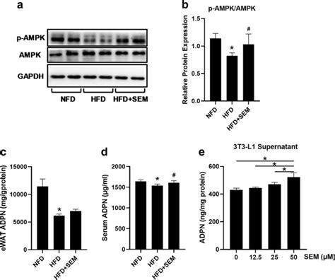 Sesamol Promoted Hepatic P Ampk Expression And Adiponectin Secretion Download Scientific