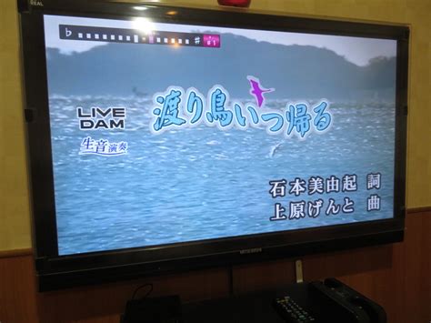 カラオケ会鳥採点 谺 拓山のブログ