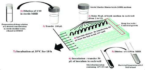 Broth Microdilution For Antibacterial Testing As Recommended By Clsi
