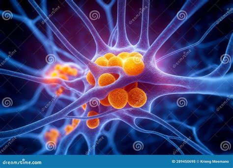 Human Nerves At The Nano Level Showing How These Structures Work