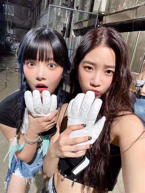 초파리 개짜증나네 Avdbs