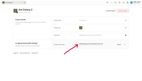 Unity Iap You Are Not Authorized To Set The License Key Gg Play Unity Services Unity