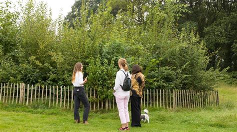 New Planting Method Delivers Higher Survival And Lower Costs Per Tree According To New Trial